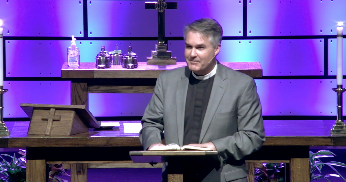 The Pigeons Must Go! | The Rev Charlie Holt
